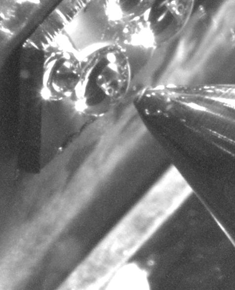 NAP-XPS and NAP-UPS | SPECSGROUP